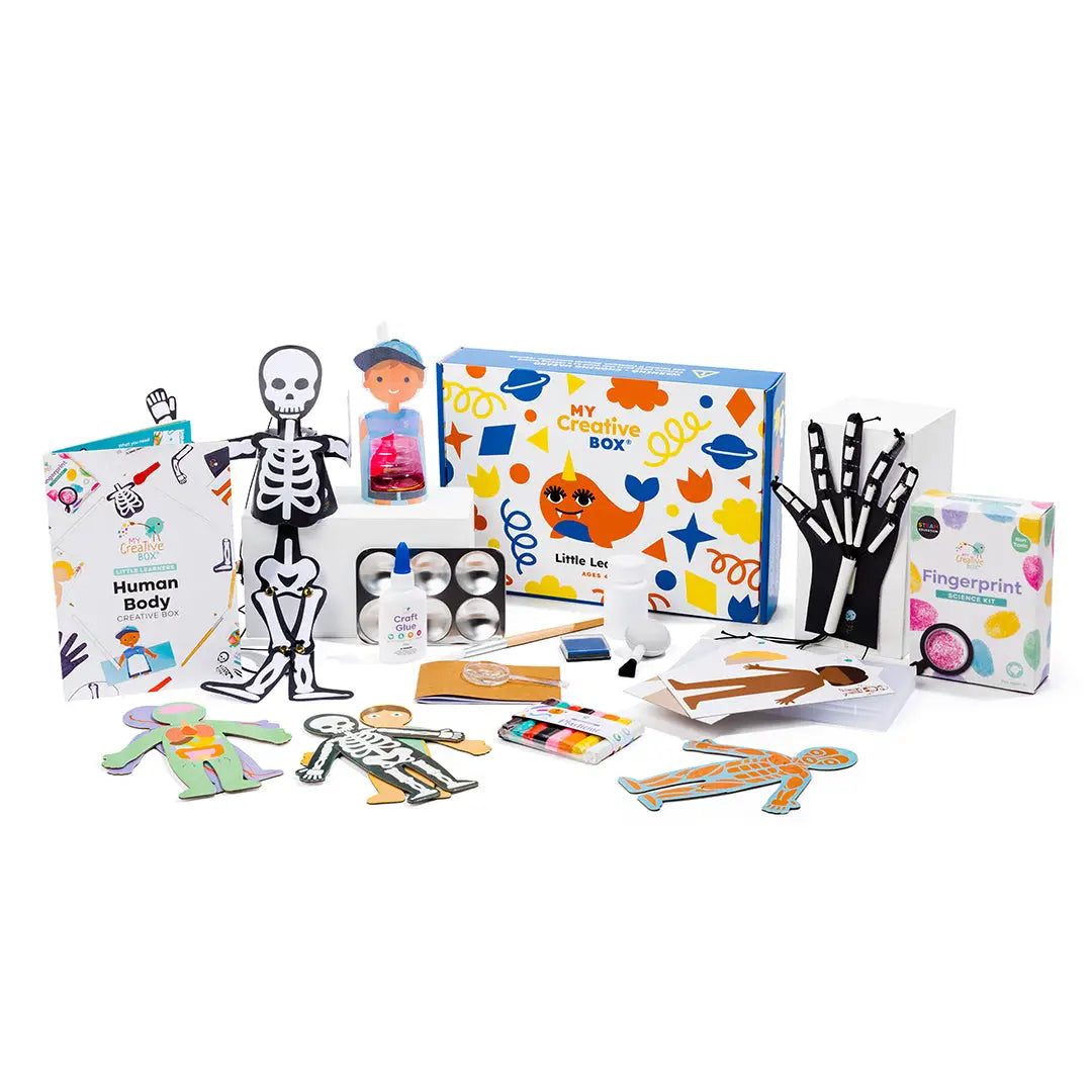 Human Body Box | Little Learners | My Creative Box – Playdreamers